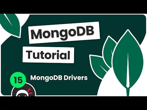 Complete MongoDB Tutorial MongoDB Drivers YouTube