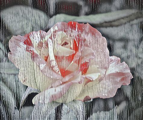 Flowers Digital Art By Kas Dunmore Pixels