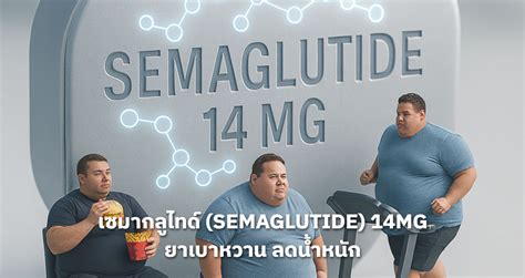 ยาgentamicin เจนตามัยซิน ข้อมูล ข้อบ่งใช้ ผลข้างเคียง Chulalak Pharmacy