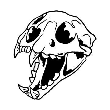 Premium Vector Cat Skull Illustration Coloring Page