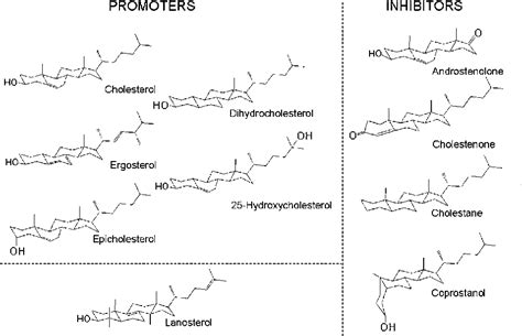 Figure 1 From Sterol Structure Determines Miscibility Versus Melting