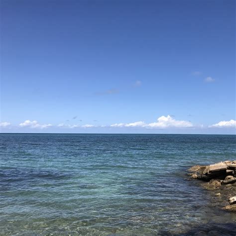 Jared Martinez Jared Youtube