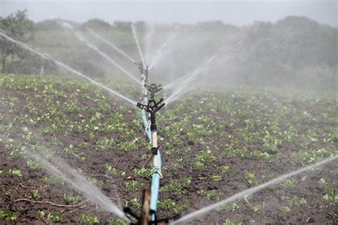 3 Main Types Of Irrigation Systems For Agriculture Fgs