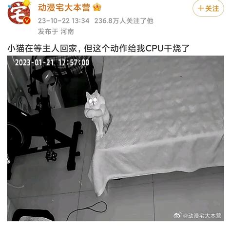 她们后来做羞羞的事了吗 178