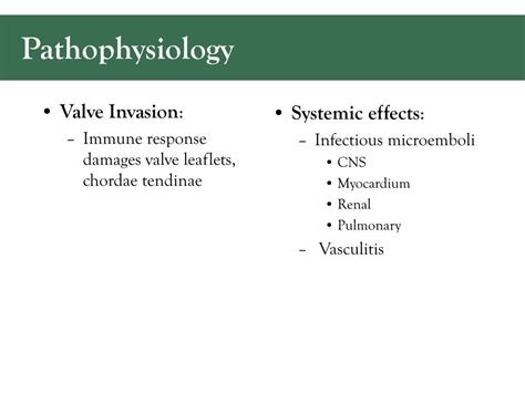 Ppt Endocarditis Powerpoint Presentation Free Download Id5176321
