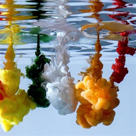 Solvent Dyes Apanimex