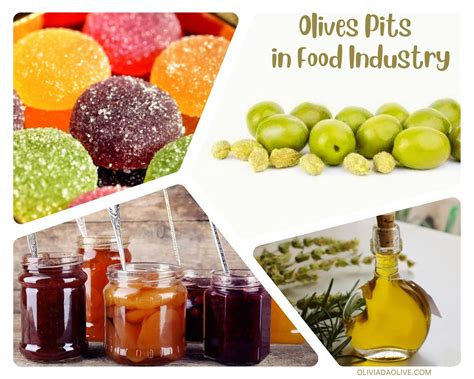 Where Can Olive Pits Be Used For Discover Their Full Potential Oliviada