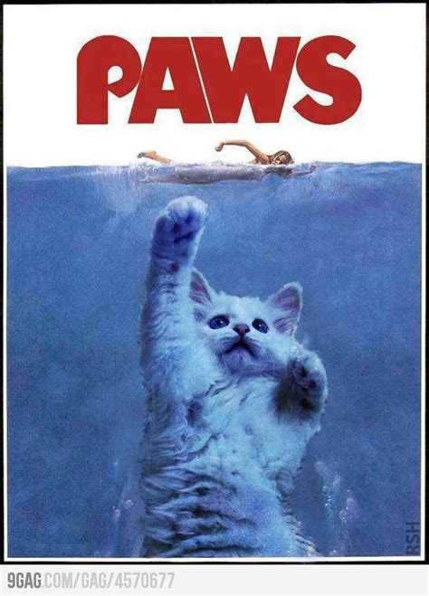 Paws A Jaws Parody That We Would All Watch Cats Funny Animals
