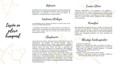 Lesion Del Plexo Braquial Pdf Hombro Mano