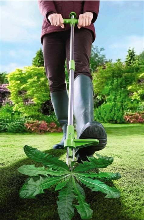 Weed Puller Garden Grass Root Remover Velorea And Co