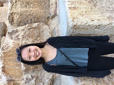 Three Phase Pulse Width Modulated Acdc Rectifier And Dcac Inverter Three Phase Pulse Width