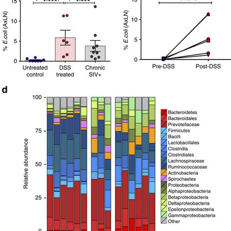 Extent And Type Of Gi Tract Pathology Induced By Dss Treatment A Download Scientific Diagram