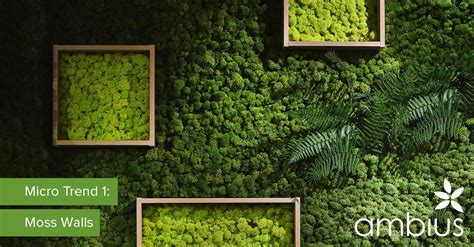 Per Wall Ha Hecho Una Publicación En Linkedin