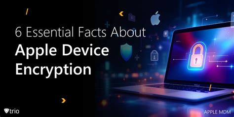 6 Essential Facts About Apple Device Encryption For Smbs