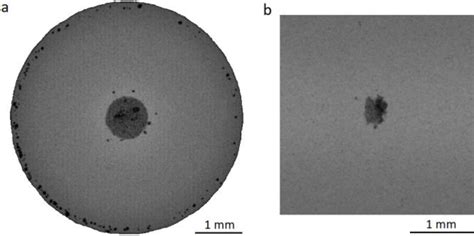 A Cross Section At A 0 9 Mm Spherical Defect B Anomalous Profile
