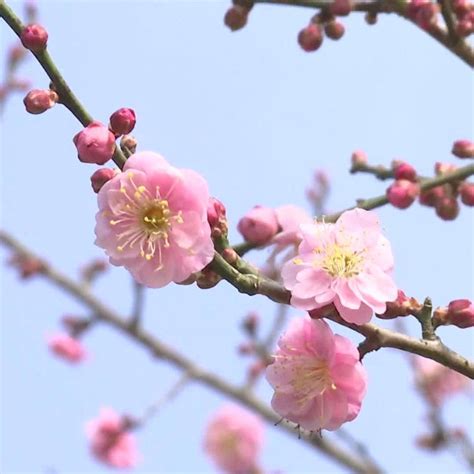 欧阳娜娜咖色抹胸裙，优雅尽显！时尚线条裙子