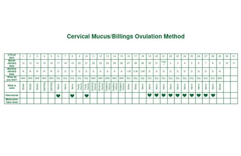 Cervical Mucus Billings Ovulation Method Chart Pdf