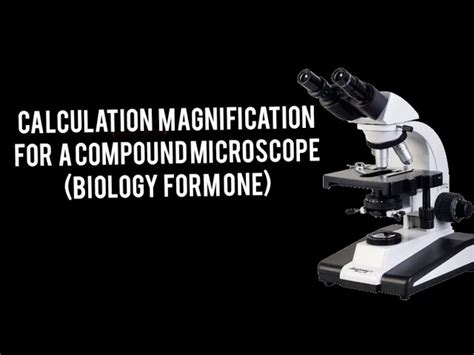 Compound Light Microscope Magnification Calculation Shelly Lighting