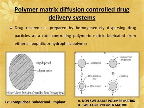 Implant Challenging Drug Delivery System