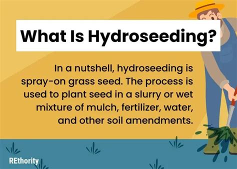 Hydroseeding Everything You Need To Know