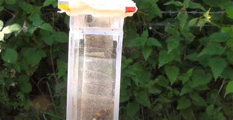 Bumblebee Wing Detection Instance Segmentation Dataset And Pre Trained