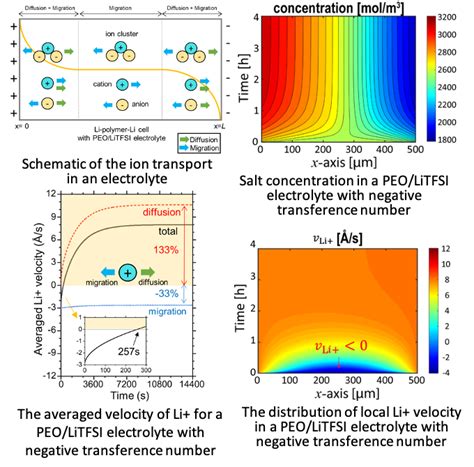 Continuum Description Of The Role Of Negative Transference Numbers On
