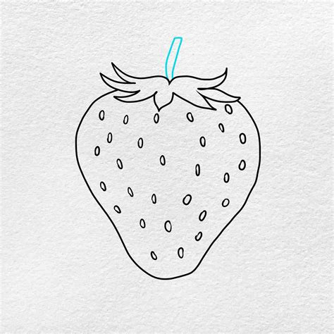 Strawberry Pencil Drawing Strawberry Sketch Images At