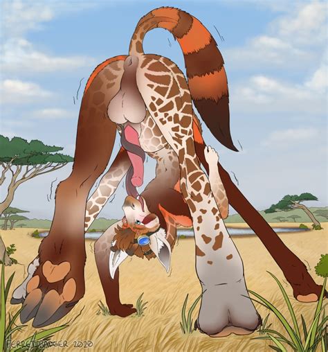 Rule 34 Ailurid Ailurid Taur Animal Genitalia Animal Penis Anus Brown