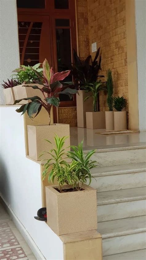 Plastic Plant Pot At ₹ 1652 Piece Plastic Garden Pot In Ahmedabad Id 2852901100555