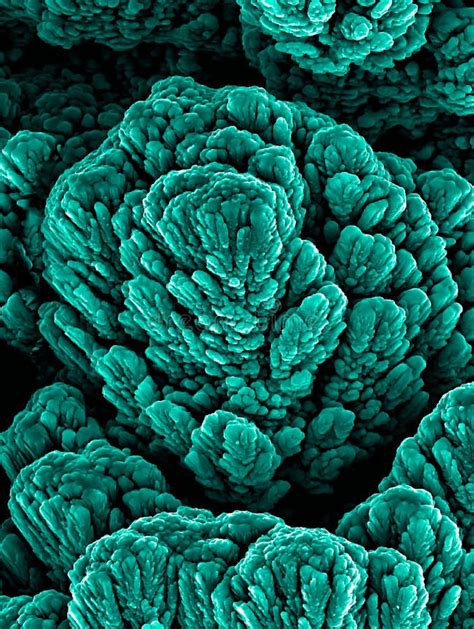 Titanium Microstructures Stock Image Image Of Insight 87536159