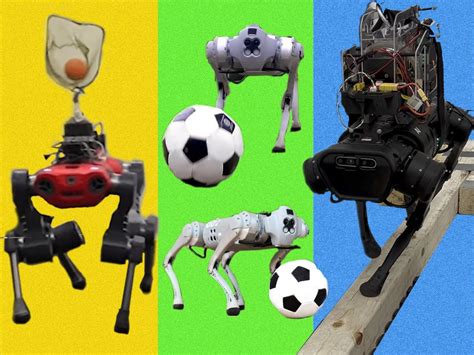 Quadrupeds Are Learning To Dribble Catch And Balance Ieee Spectrum