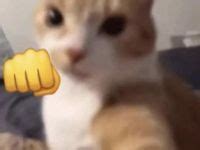86 Reaction Memes Ideas Memes Funny Reaction Pictures Funny Pictures