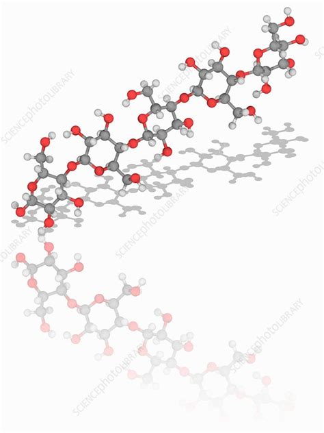 Cellulose Organic Compound Molecule Stock Image F0169632 Science