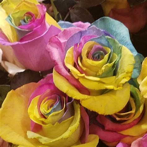 Dr Danielle Bradshaw Added A New Photo Dr Danielle Bradshaw