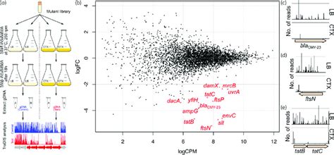 A Experimental Design Of The Forward Genetic Screen A Highly
