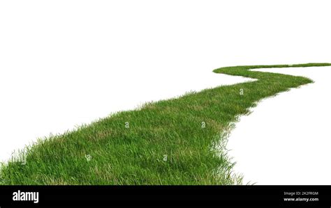 Path Way With Grass On White Background With Copy Space Isolated On