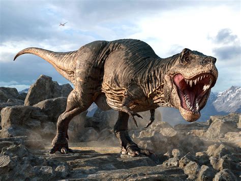 Tyrannosaurus Rex Harley Skull Replica