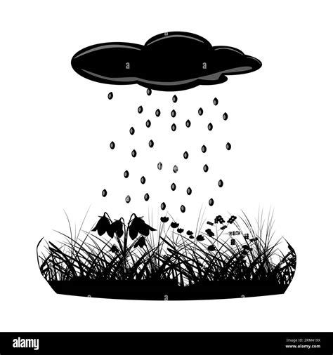 Cloudrain And Grass Silhouette On White Background Rainy Dayrain