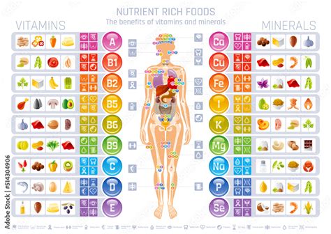 Vitamin Mineral And Human Body Infographic Nutrition Food