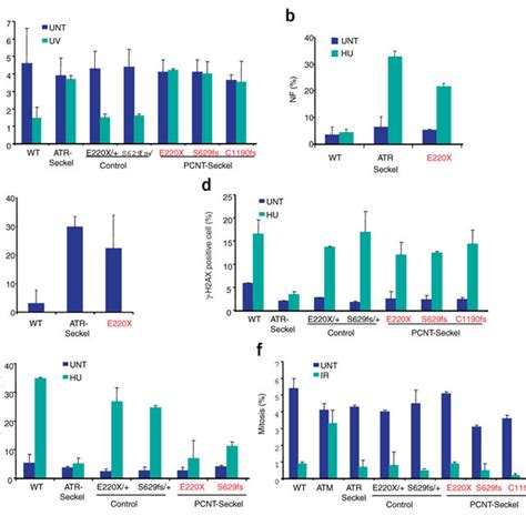 Pericentrin Localization And Function Is Disrupted In Pcnt Seckel Cell