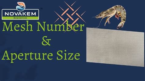 Difference Between Mesh Number And Mesh Size At Shanita Parker Blog