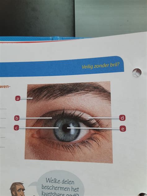 2 Uitwendige Bouw Van Het Oog Diagram Quizlet