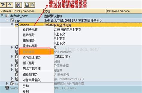 Sap配置webdynpro完全手册sap Dynpro设置 Csdn博客