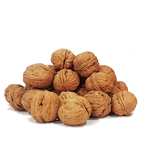 Comprar Nueces Productor De Nueces Españolas Frutos De Vettonia