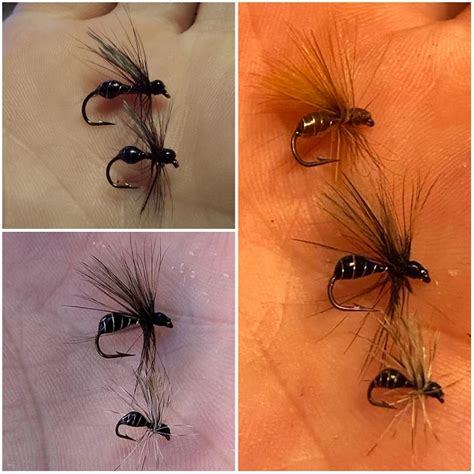 Univerzalni Mrav List MuŠiČar