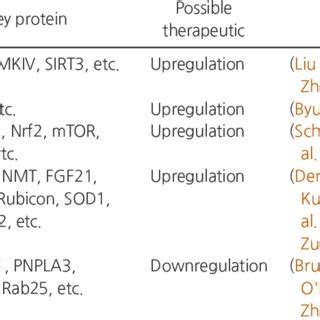 PDF Lipophagy Molecular Mechanisms And Implications In Metabolic