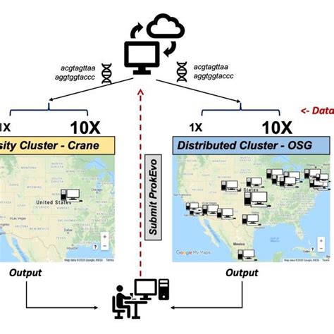 Computational Experimental Approach To Test The Performance Of Prokevo