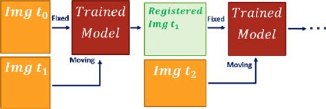 Deep Learning Based Motion Correction For Myocardial T1 Mapping