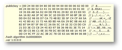 Dot Net Assemblies And Strong Name Signature Infosec
