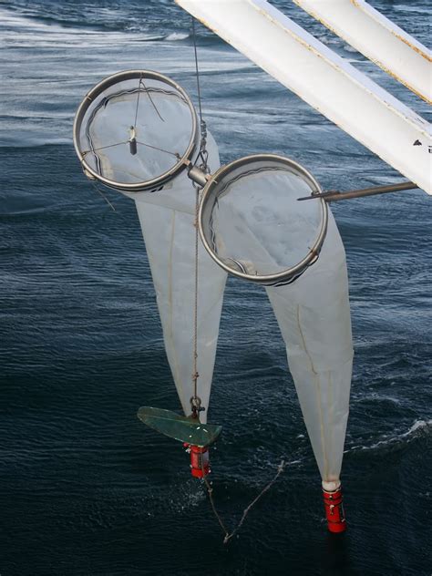 Plankton Net Diagram